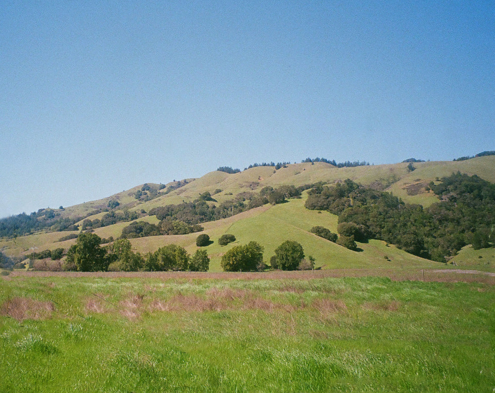 All Men's – Alex Crane