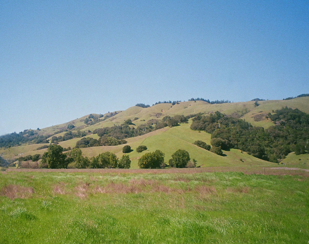 All Men's – Alex Crane